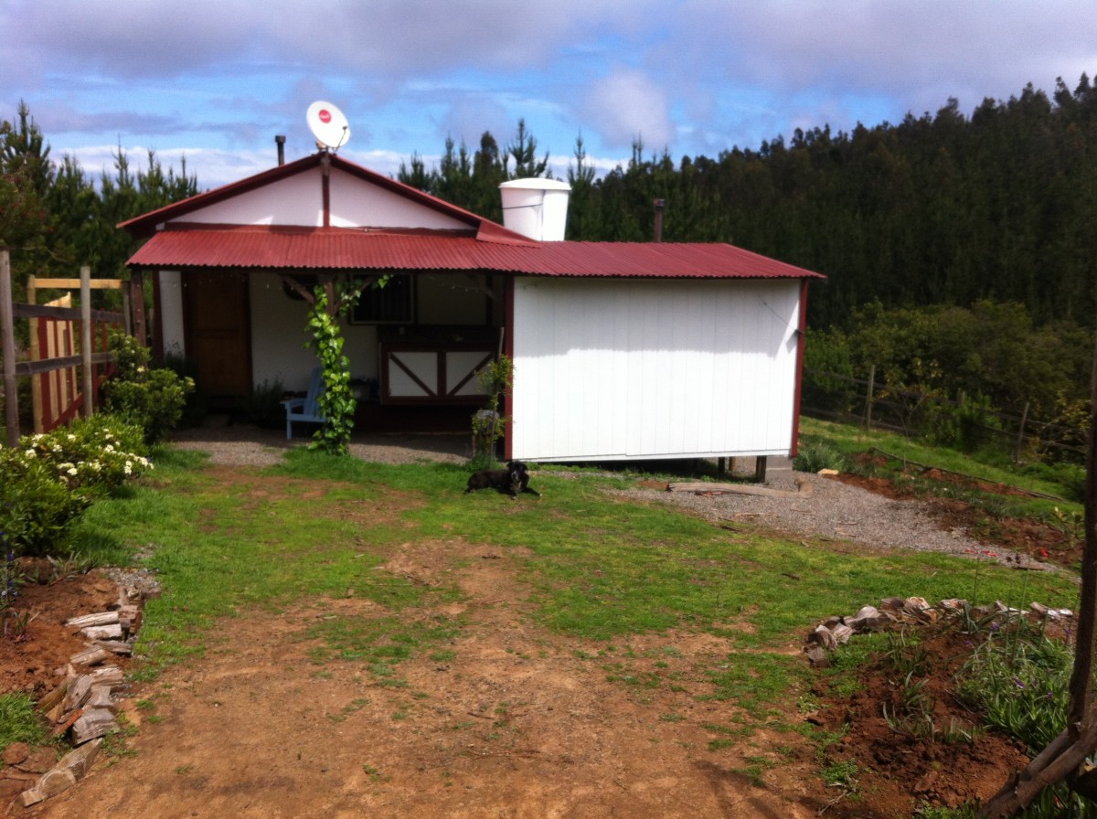 Scratch – Gringo(green)home